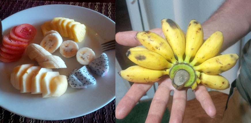 7 Proven Benefits of a Raw Food Lifestyle